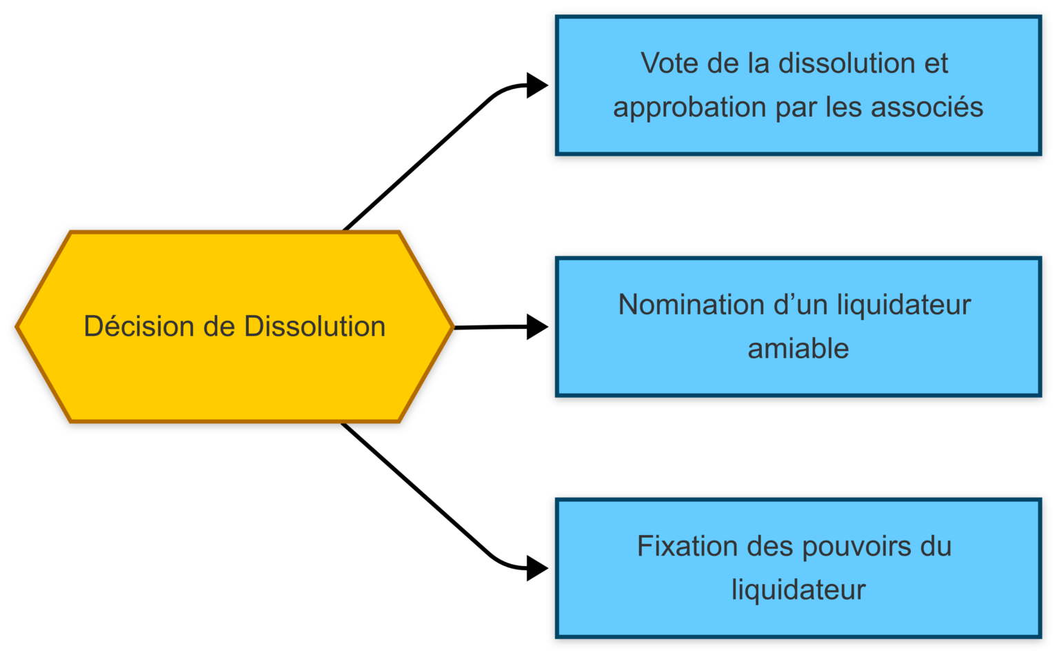 Cessation d'Activité d'une Société : Procédures, Conséquences et ...